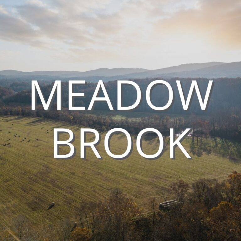 Southern Development Homes