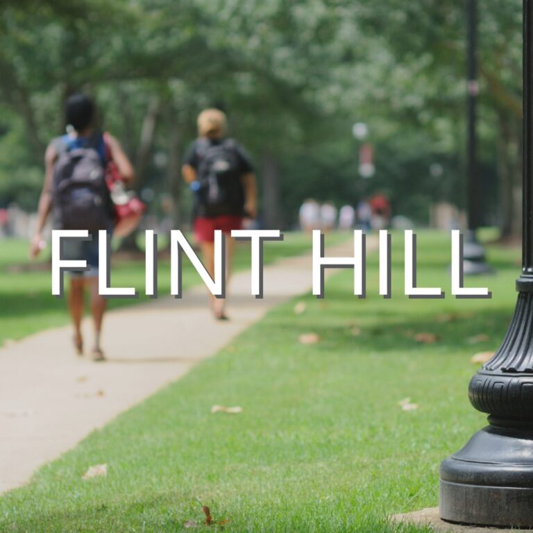 Southern Development Homes